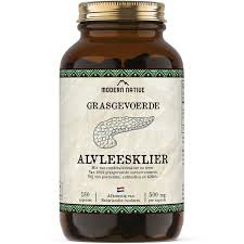 Alvleesklier van Modern Native (180caps)