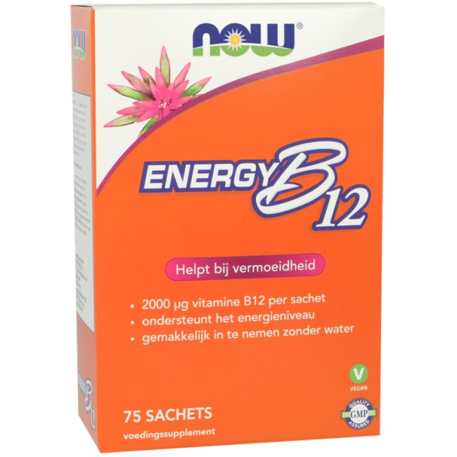 Energy B12 instant van NOW (75sachets)